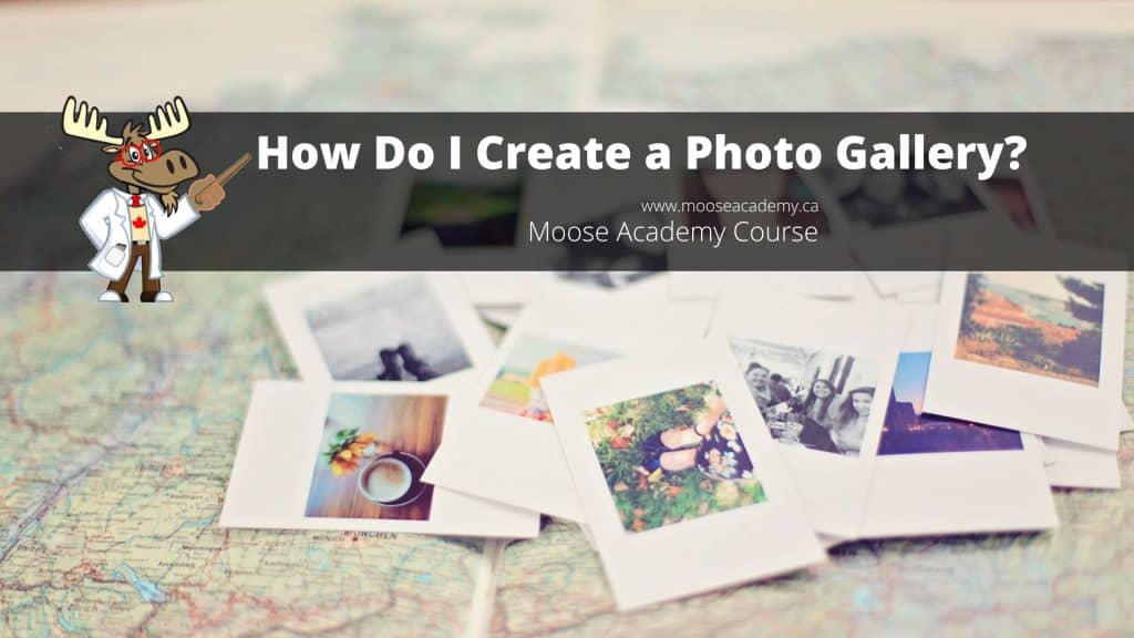 Creating a Photo Gallery? – Moose Academy